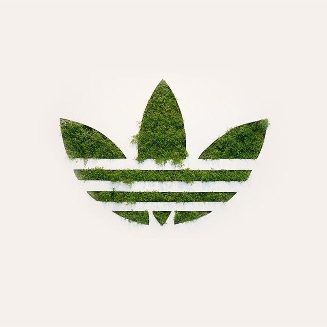 Adidas – Stock XO